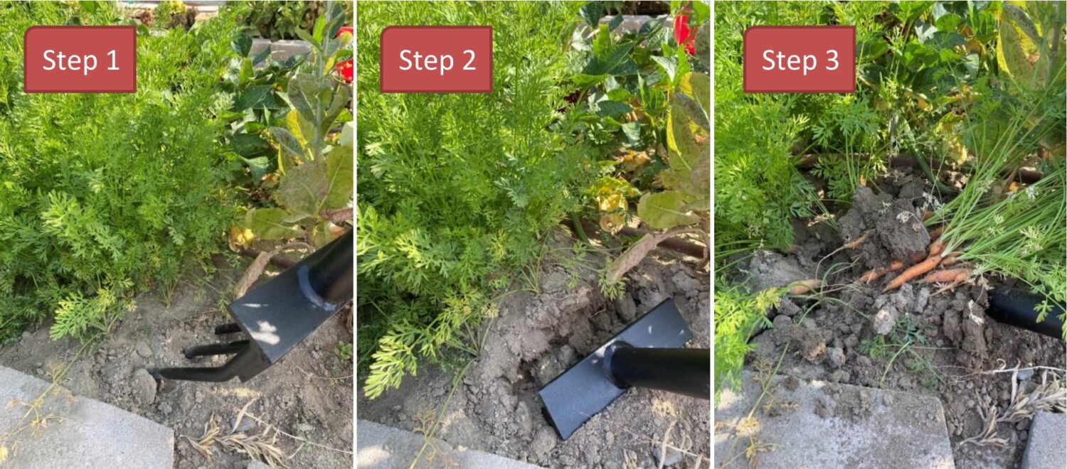 The Bully Tools Spading Fork: a Multipurpose Tool - Bully Tools, Inc.