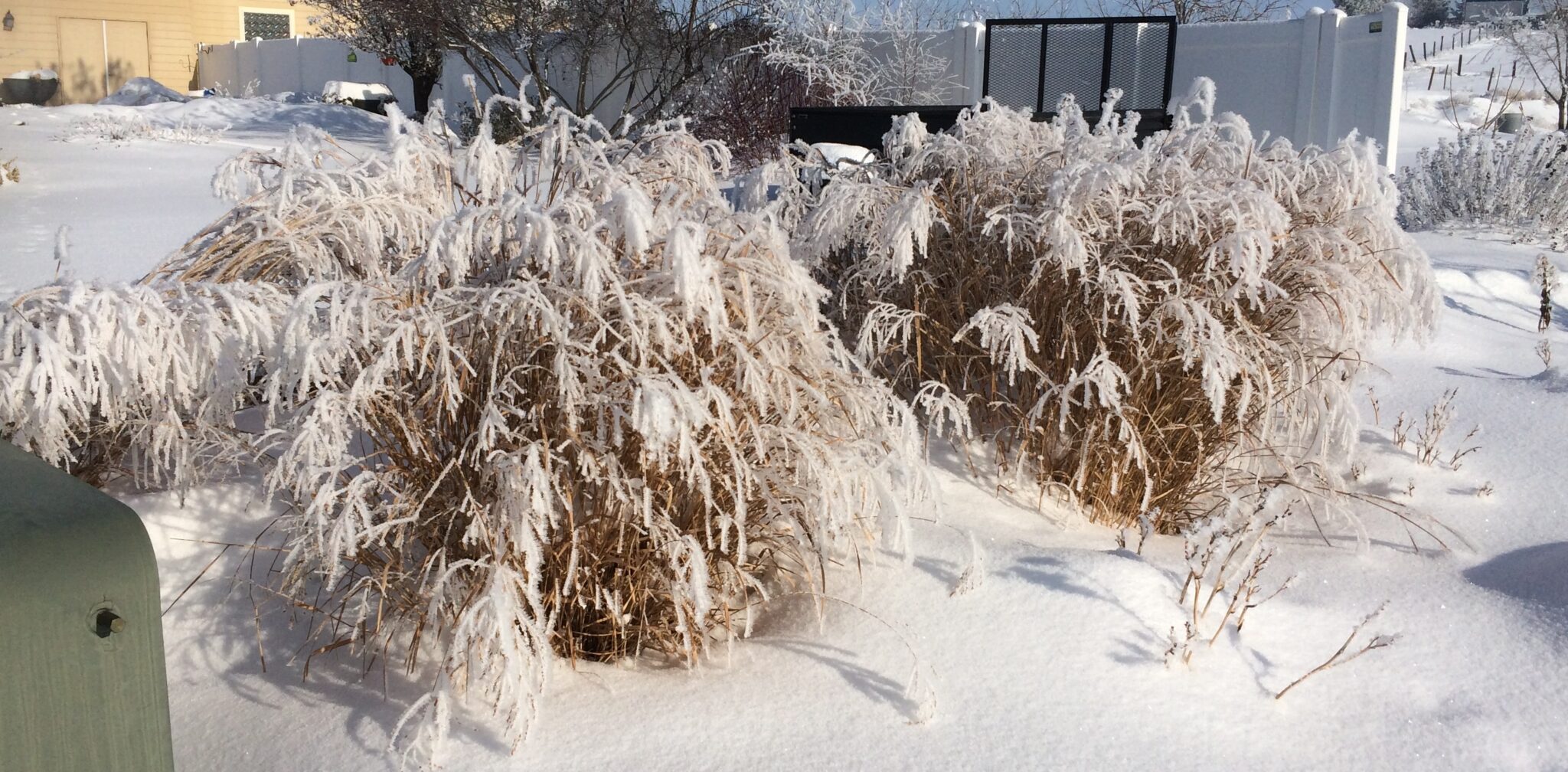 Seasonal Garden Cleanup: Fall vs Spring - Bully Tools, Inc.