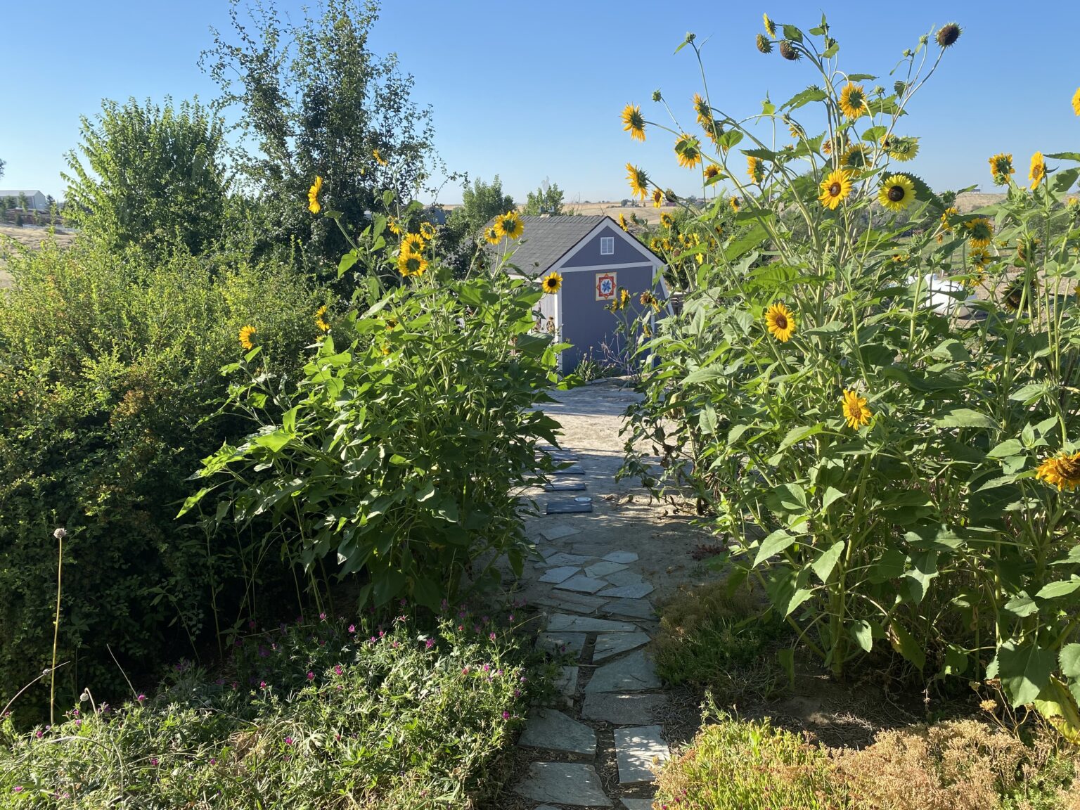 Beneficial Animals and a Healthy Garden - Bully Tools, Inc.