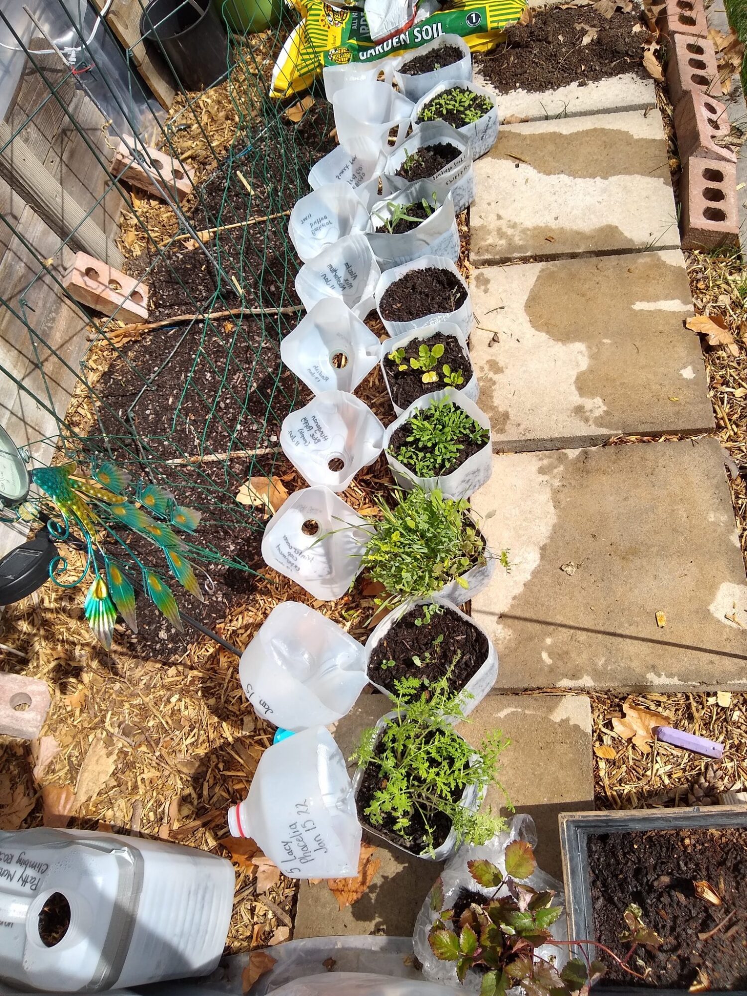 Winter Sowing 101: The “New” Method for Winter Gardening